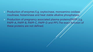Placenta | PPTX