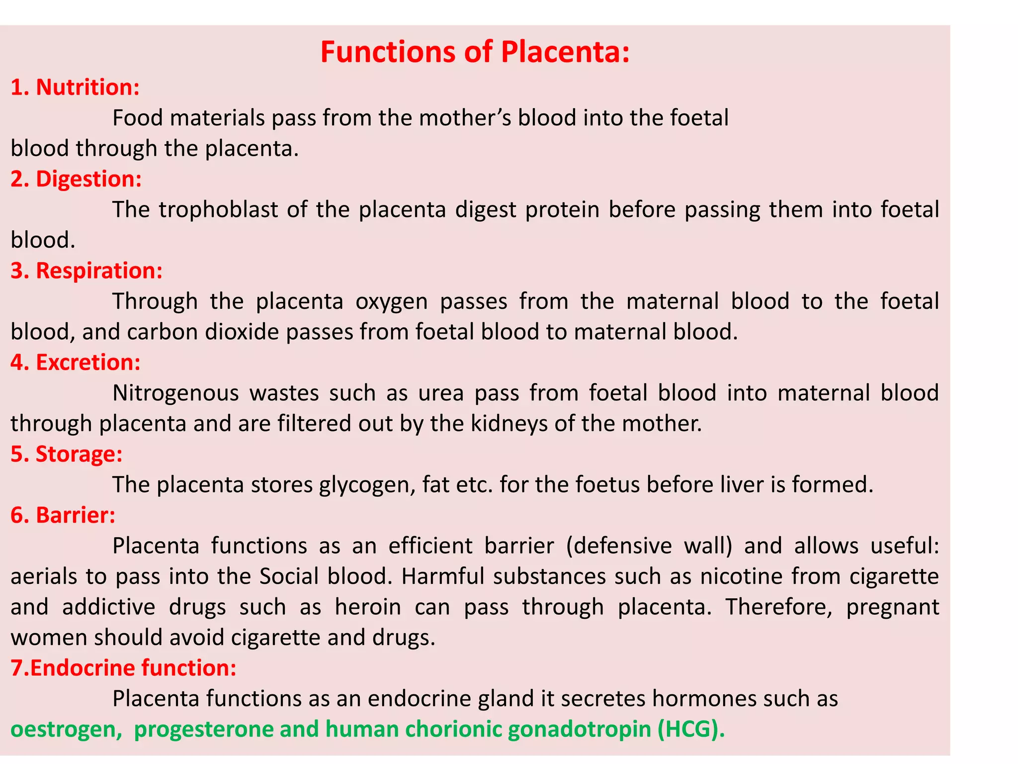 Placenta | PPT