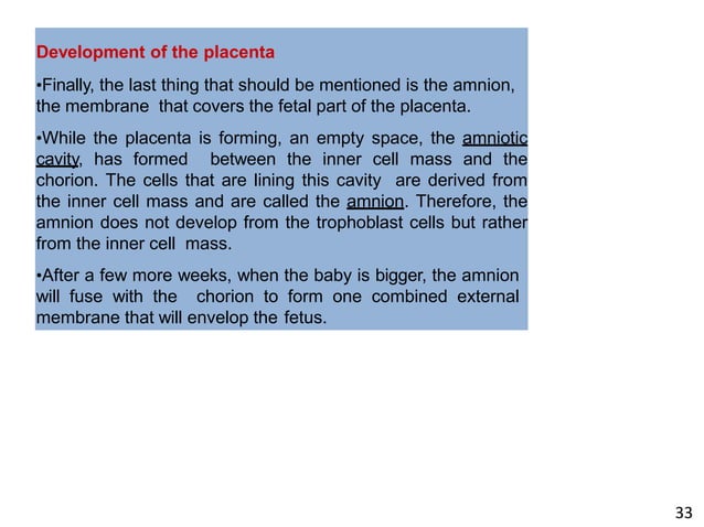 Placenta Ppt