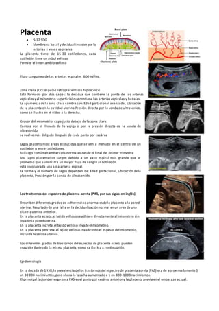 Placenta.docx
