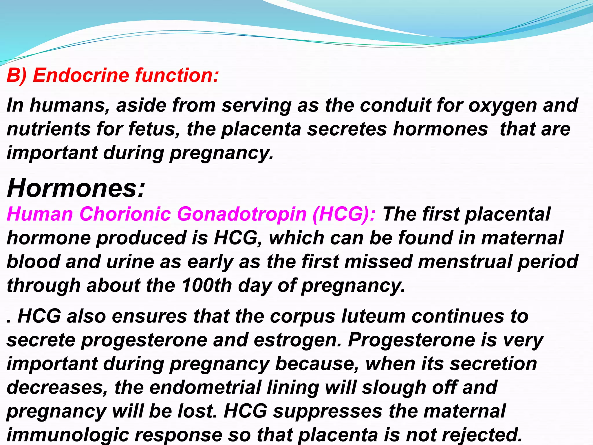 placenta.ppt