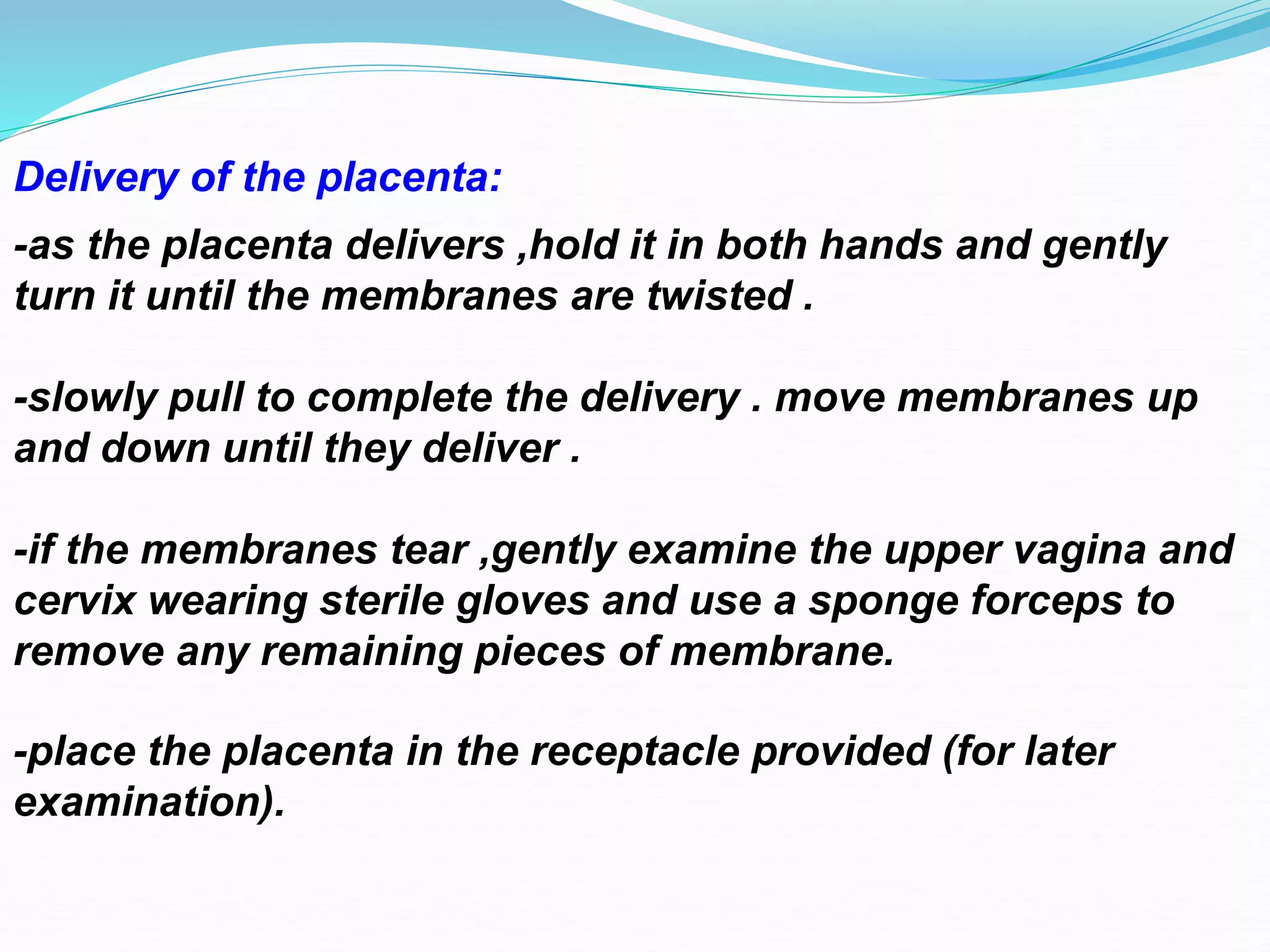 placenta.ppt
