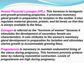 placenta.ppt
