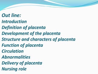 placenta.ppt