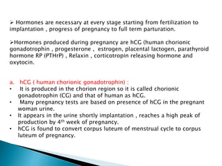 PLACENTA.pptx