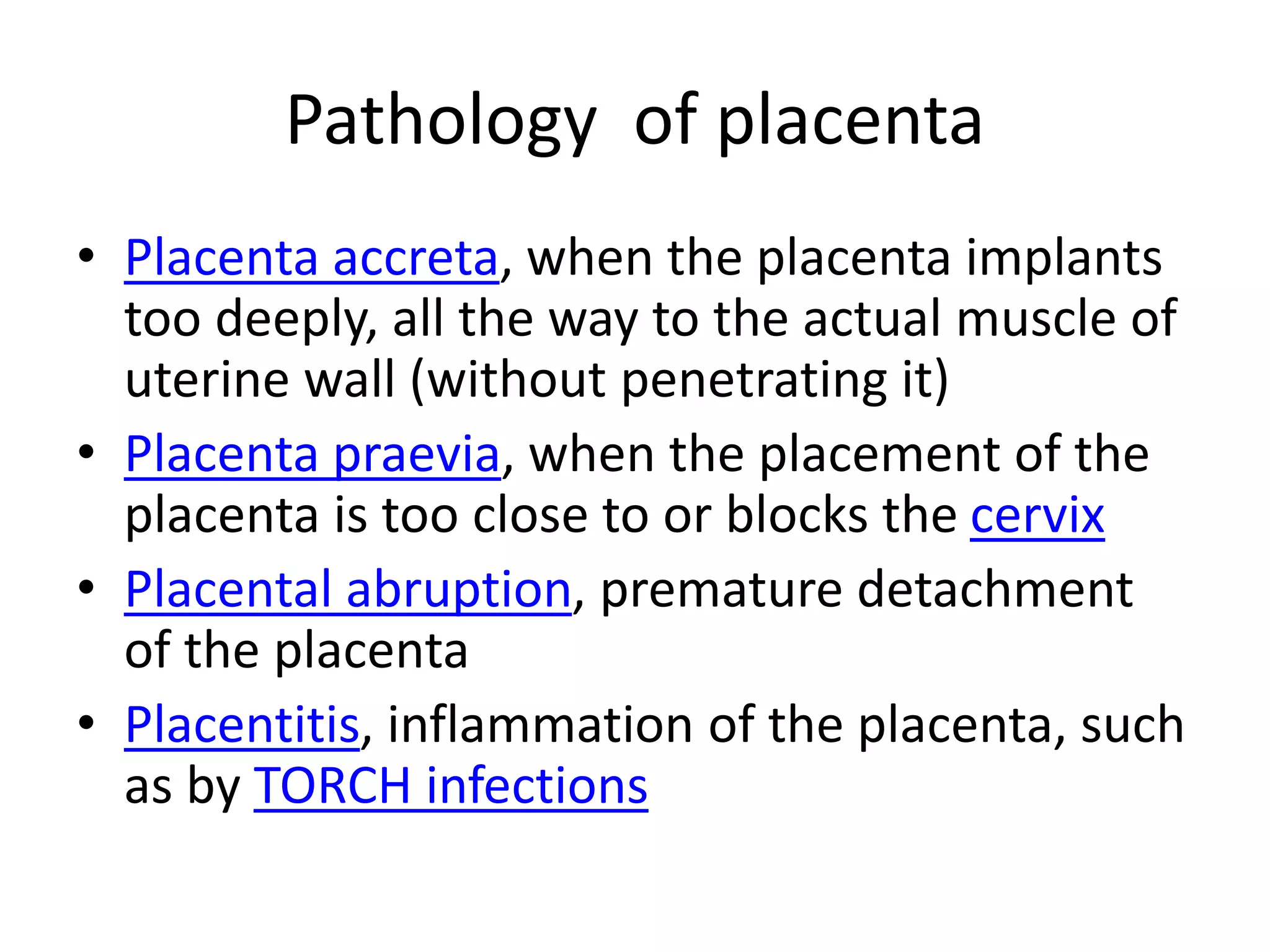 Placenta.ppt