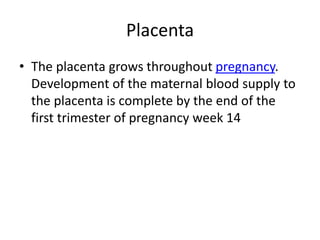Placenta.ppt