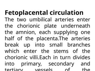 Placenta- it's structure, development and functions. Normal placenta | PPTX