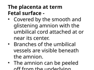 Placenta- it's structure, development and functions. Normal placenta | PPTX