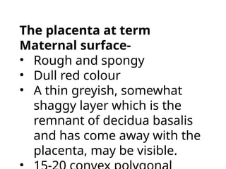 Placenta- it's structure, development and functions. Normal placenta | PPT