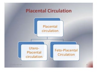 Placenta- it's structure, development and functions. Normal placenta | PPTX