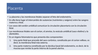 Placenta, desarrollo de la placenta, corion | PPTX