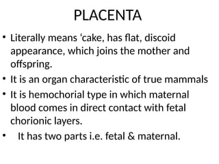 placenta and its types plus positions.pptx