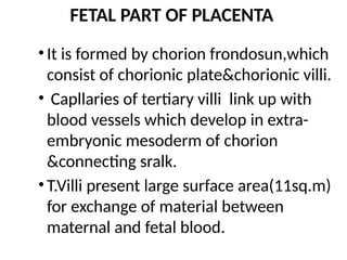 placenta and its types plus positions.pptx