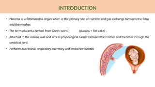 PLACENTA mammal nutritional tissue .pptx