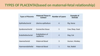 PLACENTA mammal nutritional tissue .pptx