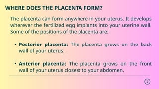 the placenta-and-fetal-support of human rep.pptx