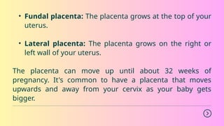 the placenta-and-fetal-support of human rep.pptx