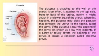 the placenta-and-fetal-support of human rep.pptx