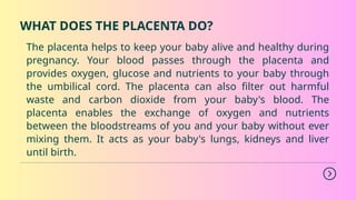 the placenta-and-fetal-support of human rep.pptx