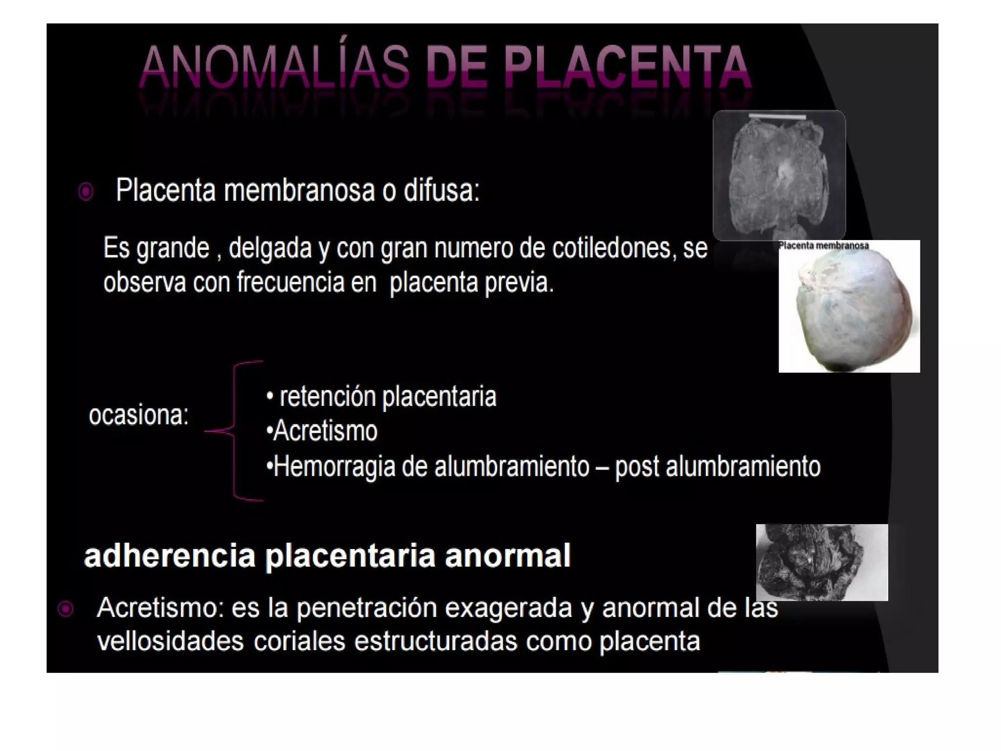 Placenta humana, anatomia, fisiologia y todo lo que deben saber | PPT