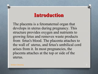 Placenta | PPT