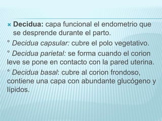 Placenta | PPTX