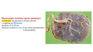 placenta development embryological study | PPT