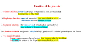 placenta development embryological study | PPT