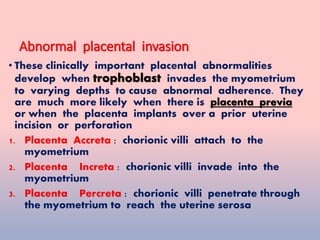 human placenta and its anomalies | PPTX