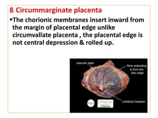 Placenta Circummarginate