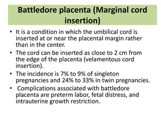 Battledore Placenta