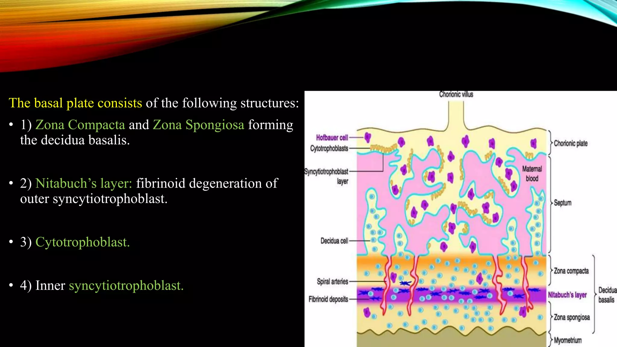 PLACENTA ACCRETA SPECTRUM DISORDERS.pptx
