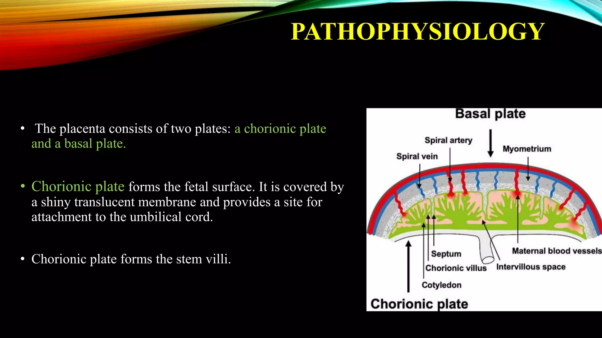 PLACENTA ACCRETA SPECTRUM DISORDERS.pptx