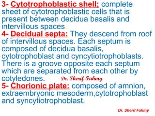 Placenta & Amnion (General Embryology) | PPS