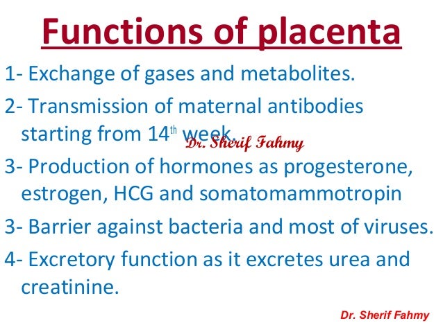Placenta & Amnion (General Embryology)