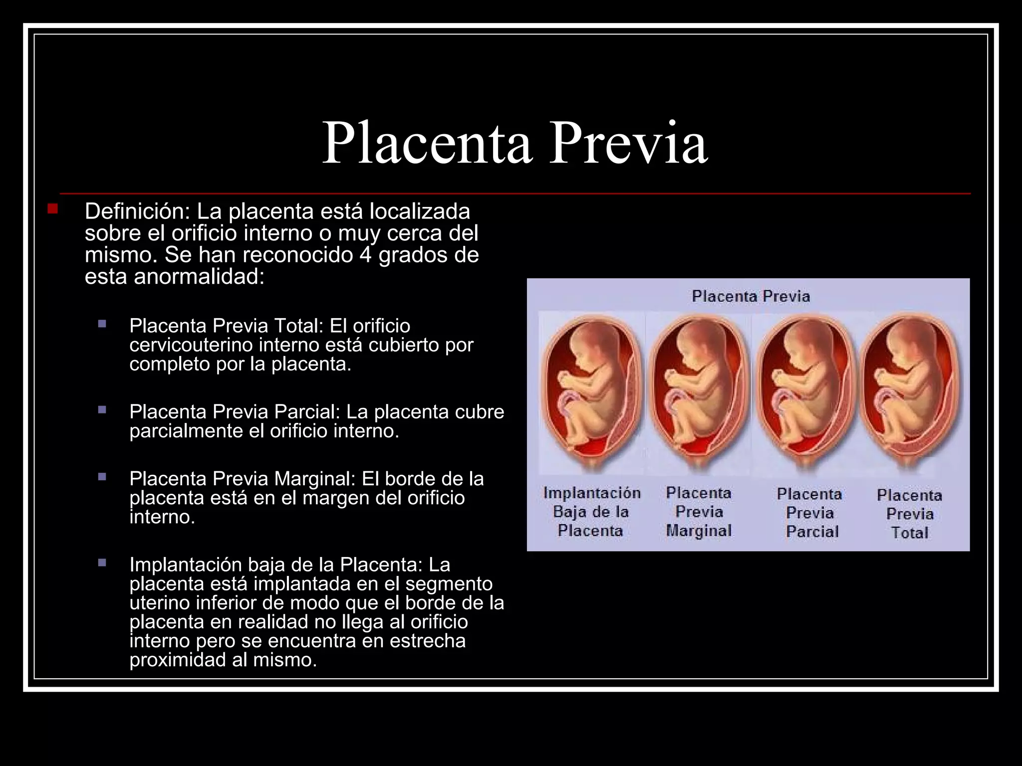 Placenta Anatomía y Fisiología | PPT