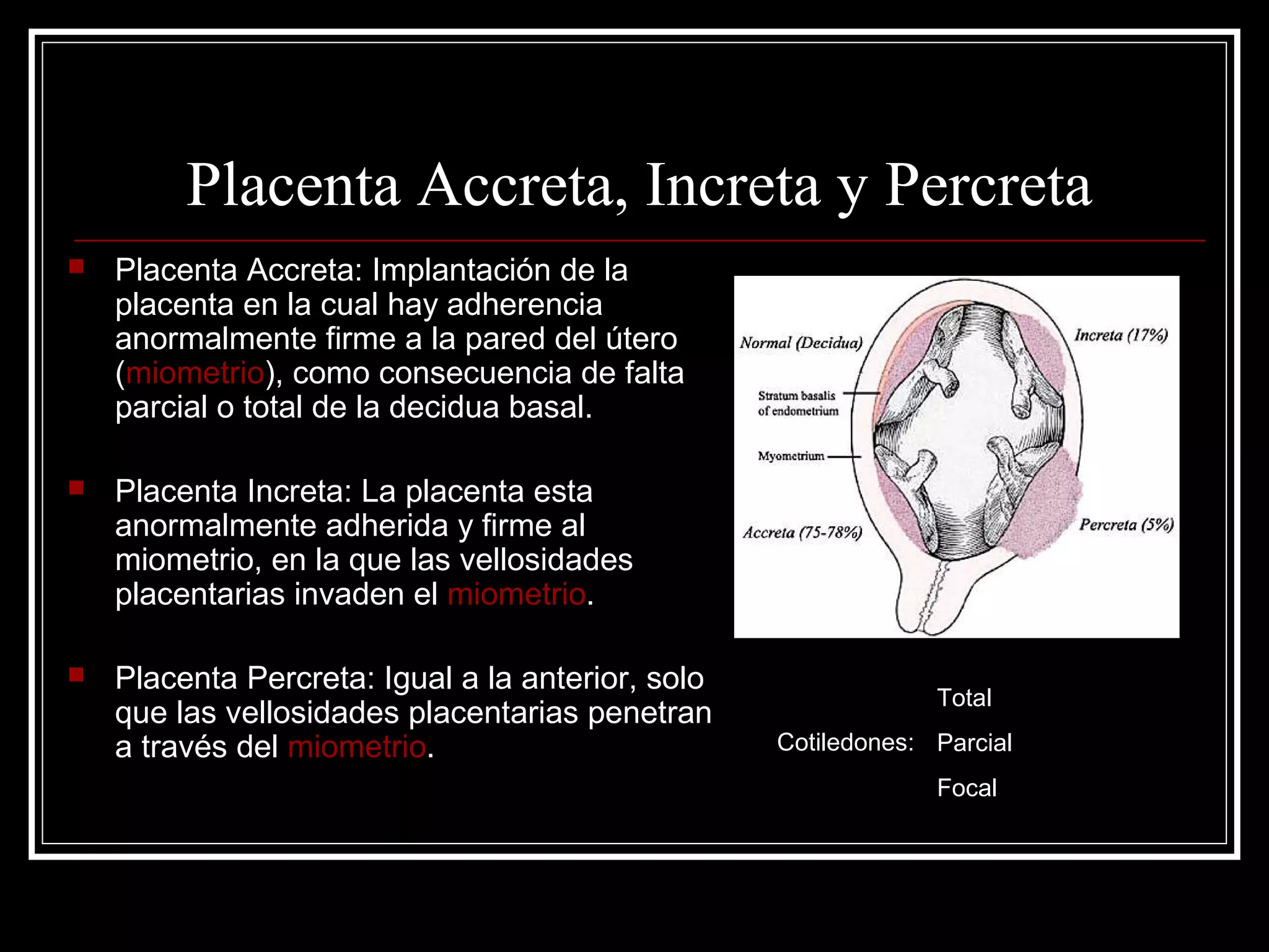 Placenta Anatomía y Fisiología | PPT