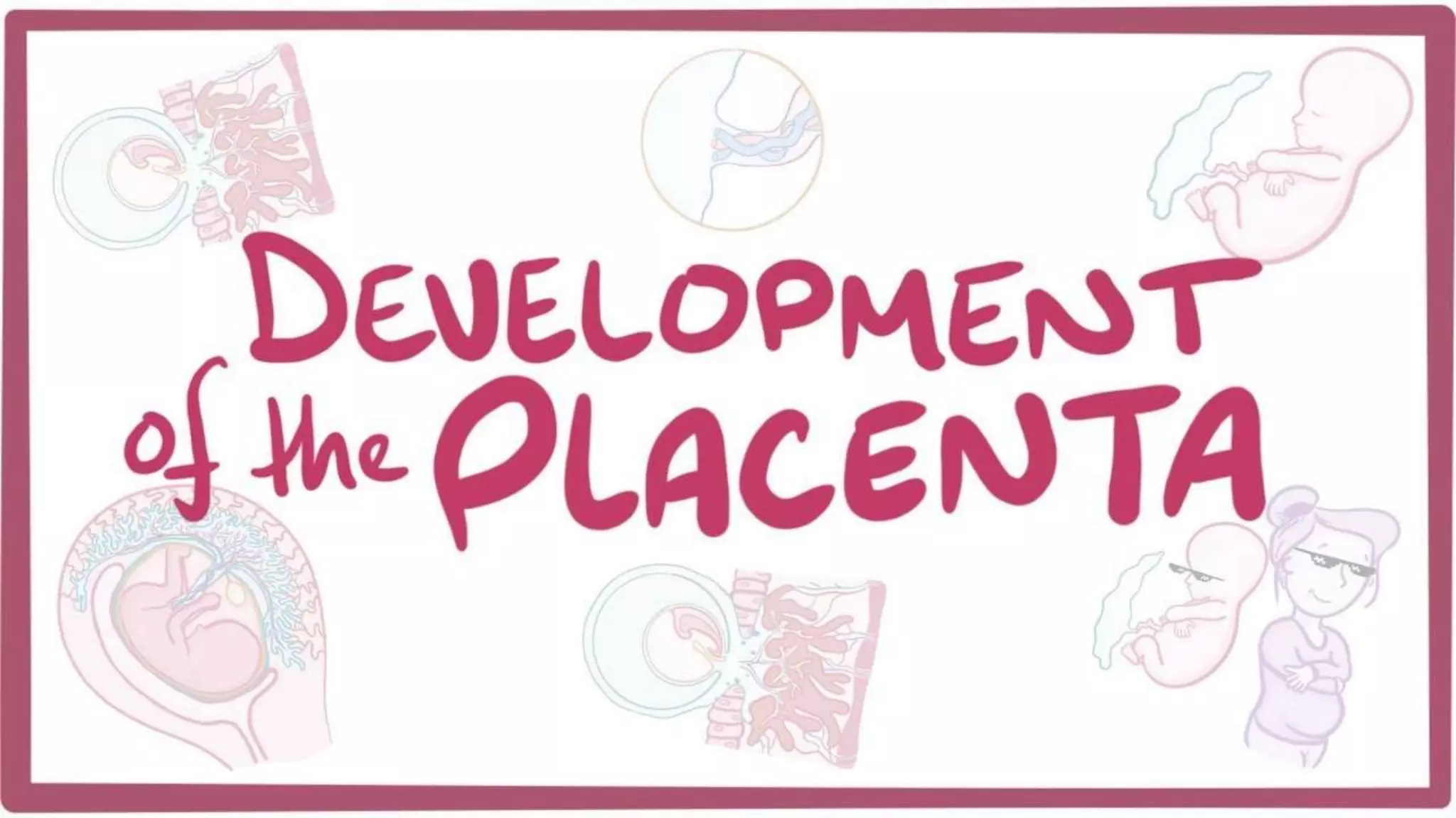 Placenta anatomy-physiology.pptx