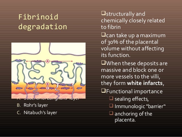 Placenta and amniotic fluid