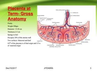 Placenta yolk sac and amniotic_fluid_structure_function | PPTX