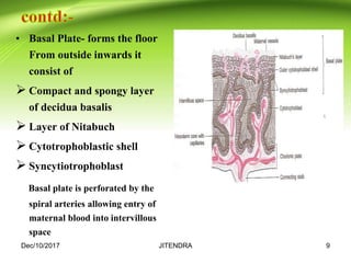 Placenta yolk sac and amniotic_fluid_structure_function | PPT