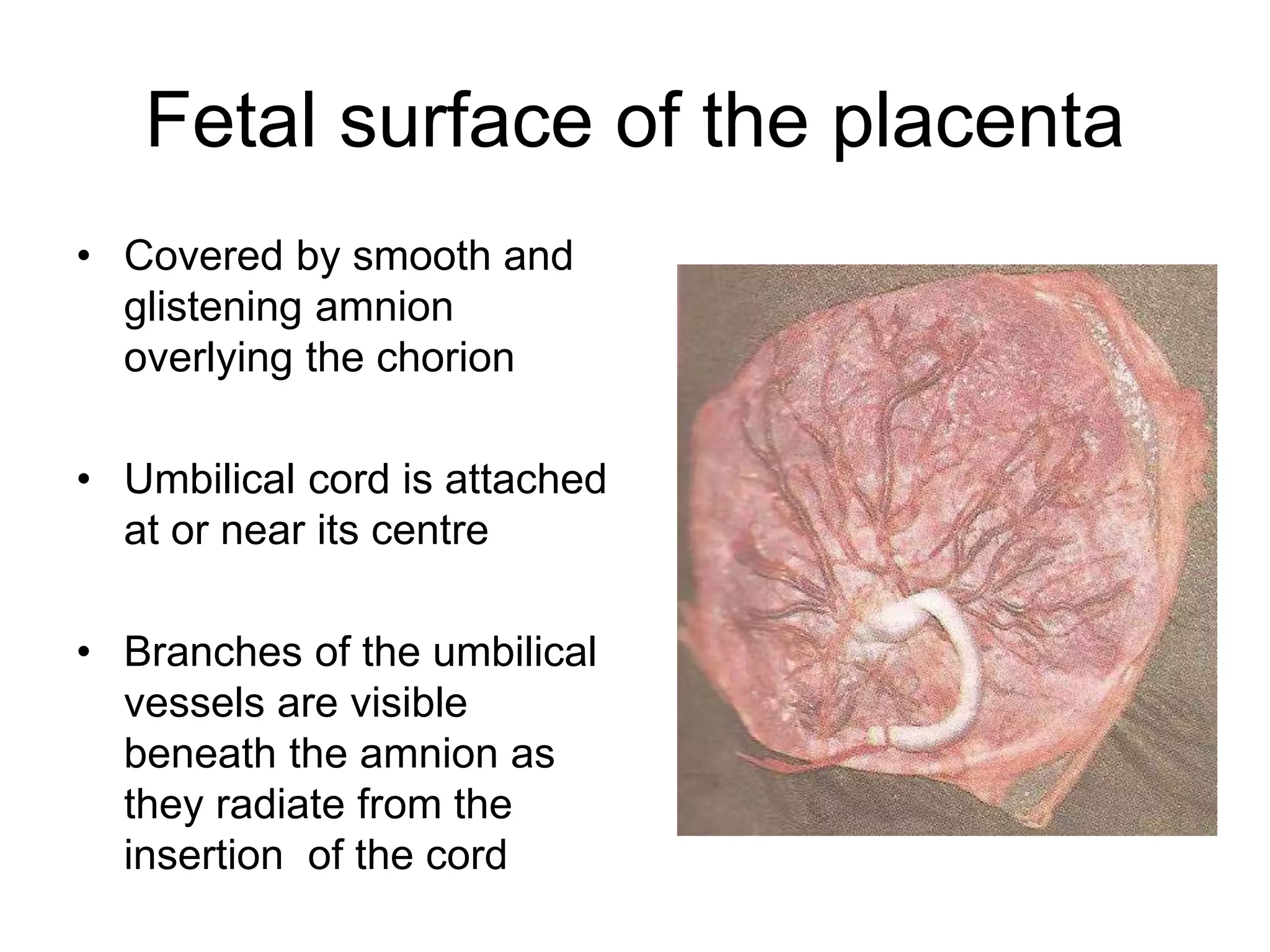 Placenta_and_Amniotic_fluid_Structure_Function.ppt