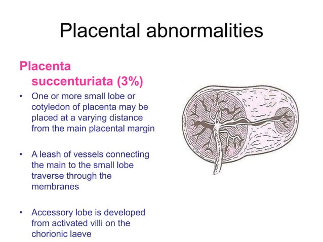 Placenta_and_Amniotic_fluid_Structure_Function.ppt