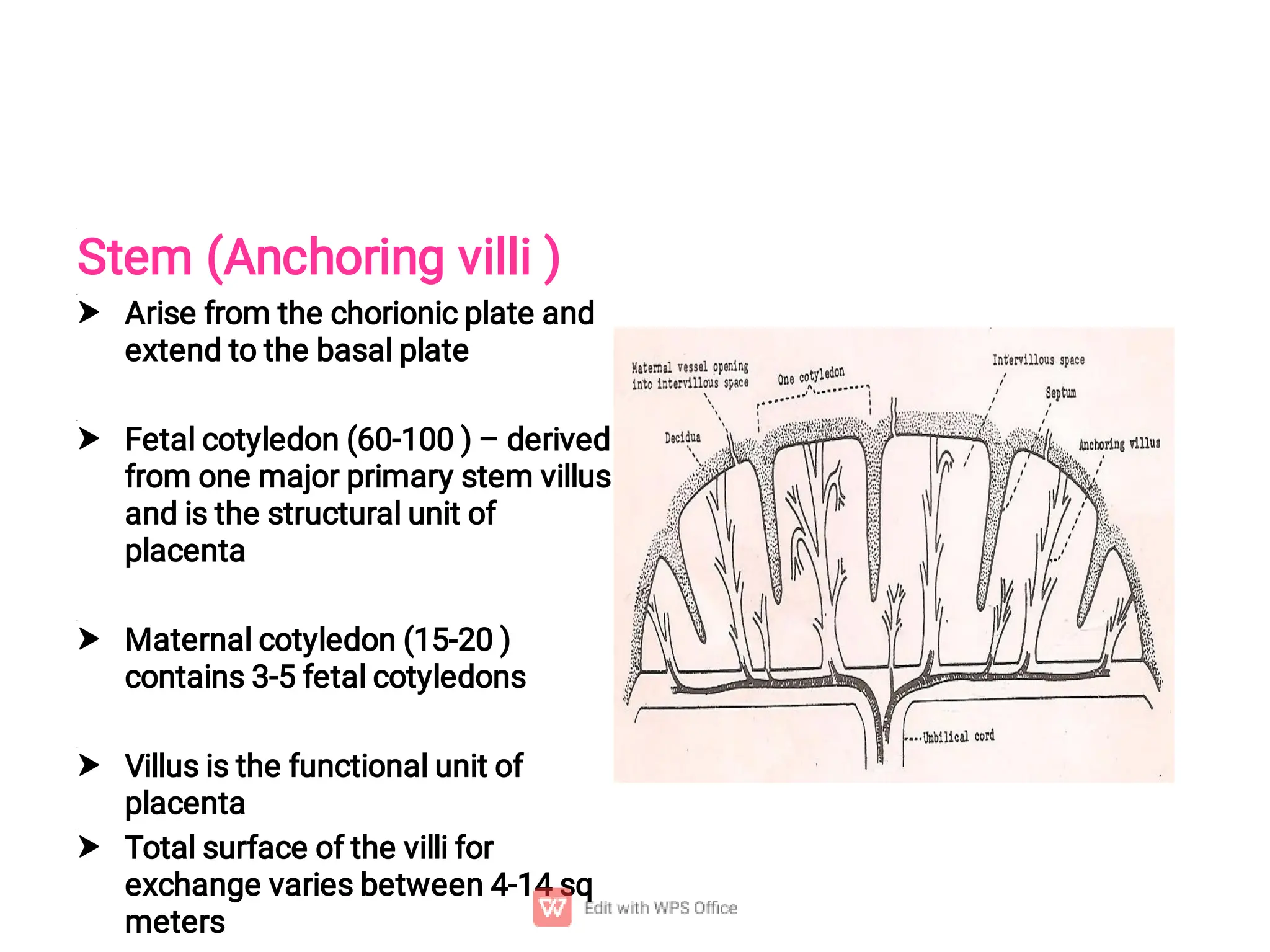 Placenta_and_Amniotic_fluid_Structure_Function.pdf