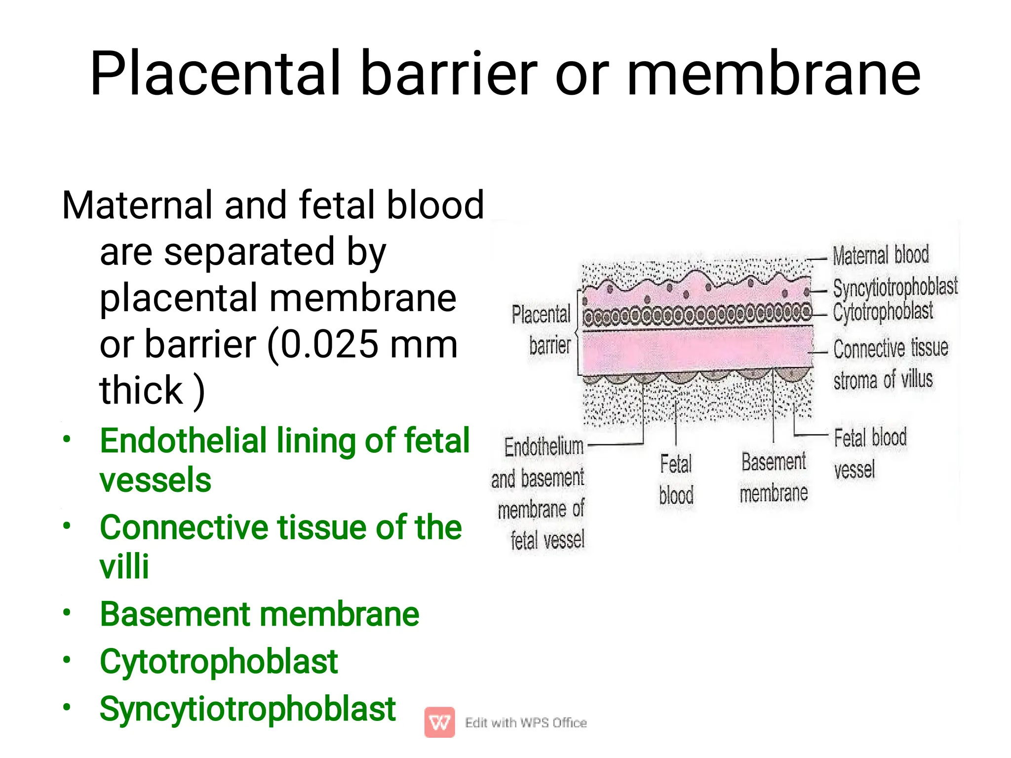 Placenta_and_Amniotic_fluid_Structure_Function.pdf