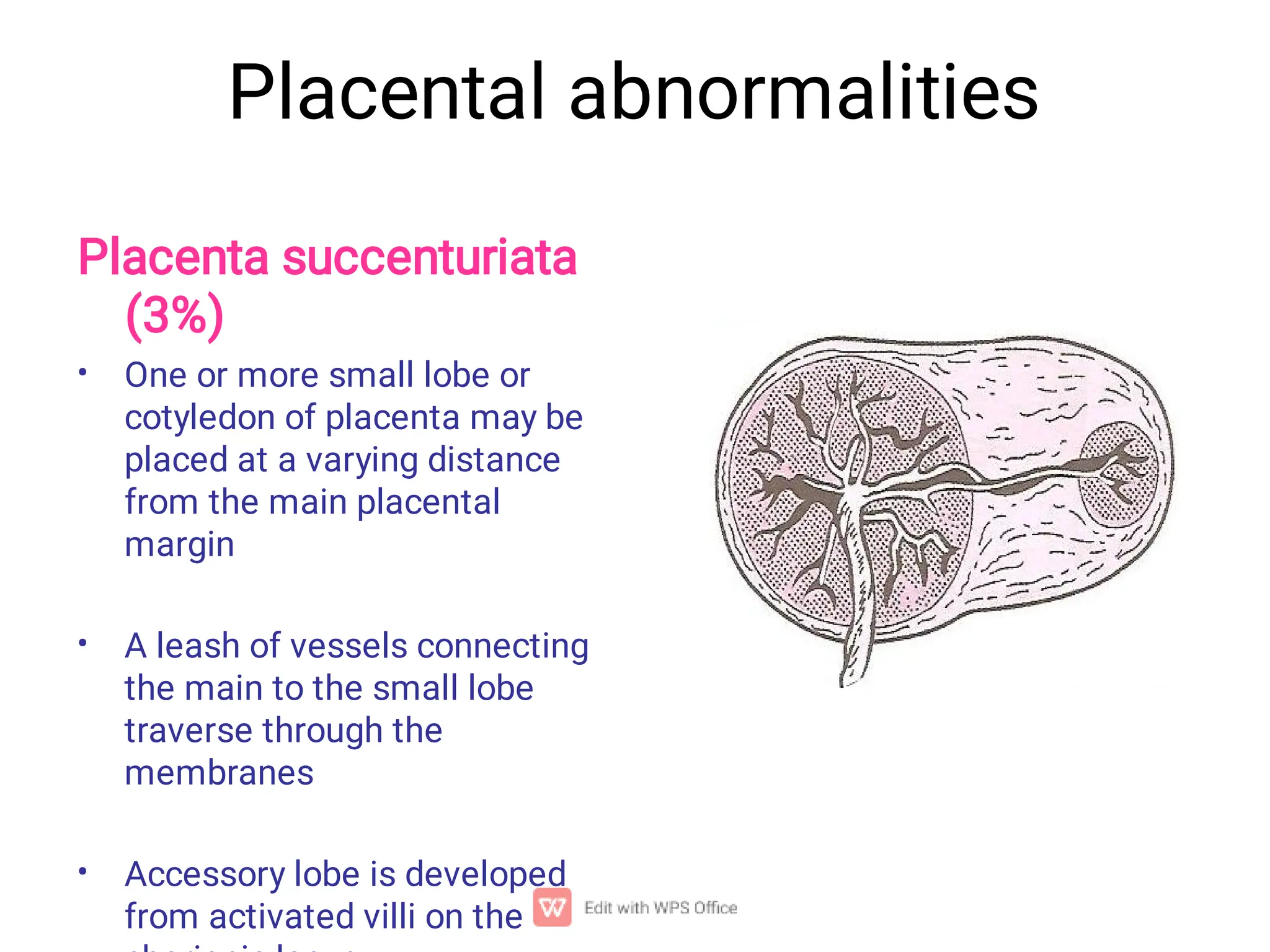 Placenta_and_Amniotic_fluid_Structure_Function.pdf | Pregnancy ...
