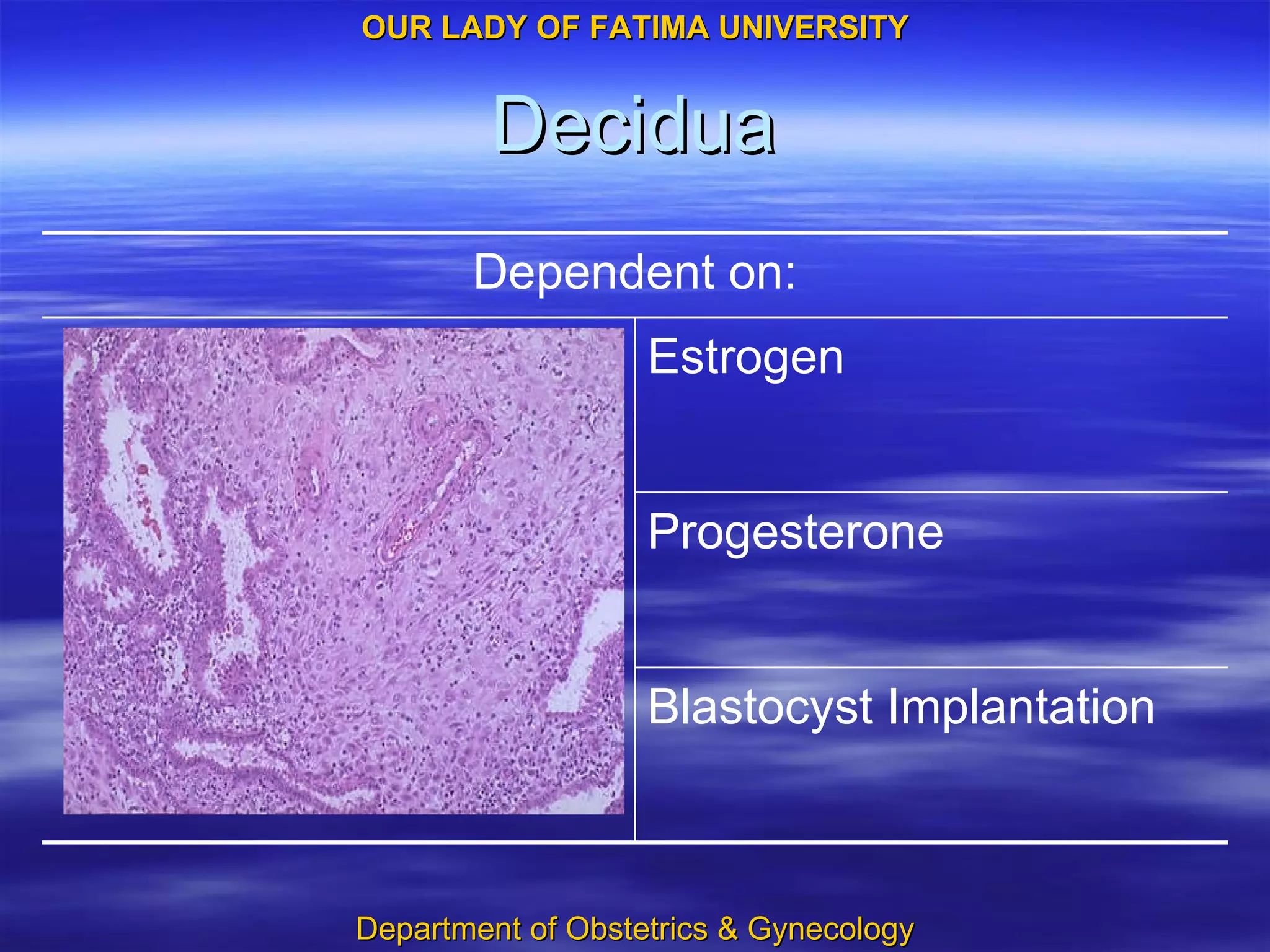 Placenta and fetal membranes | PPT