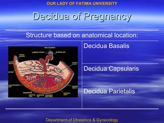 Placenta and fetal membranes | PPT