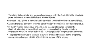 The Placenta and membranes development ppt | PPT